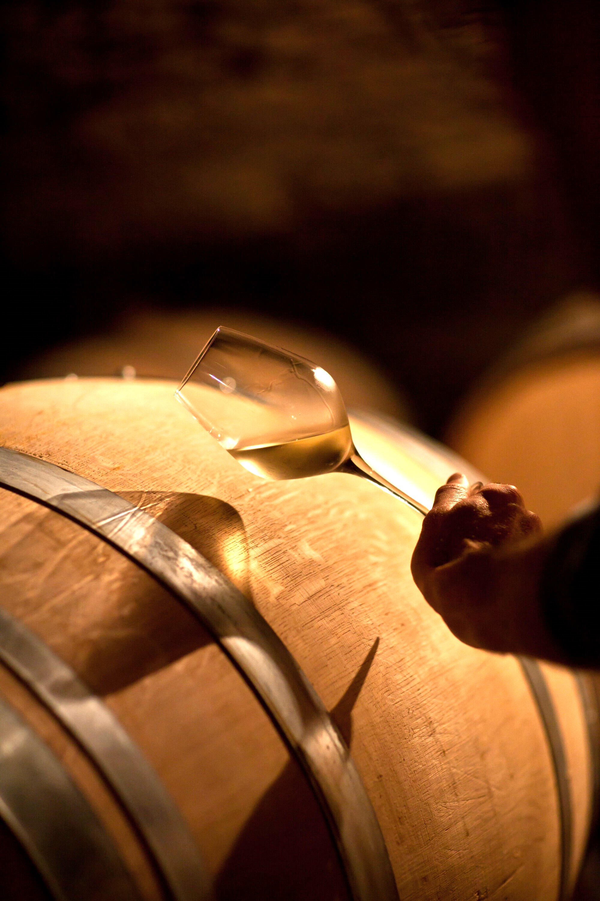 The Ultimate Bourgogne Wine Tasting : The 33 Grands Crus